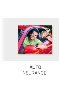 Dealer Plate Insurance Ny 🥇 Sep 2025